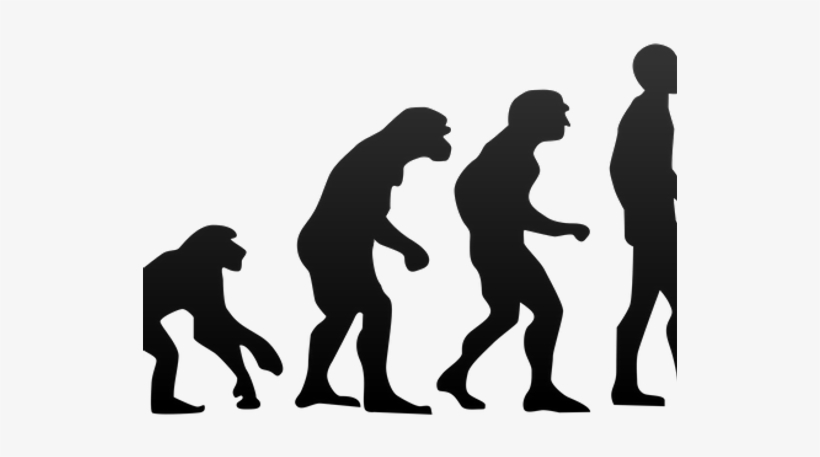 Evolution Of Humans Transparent PNG - 534x401 - Free Download on NicePNG
