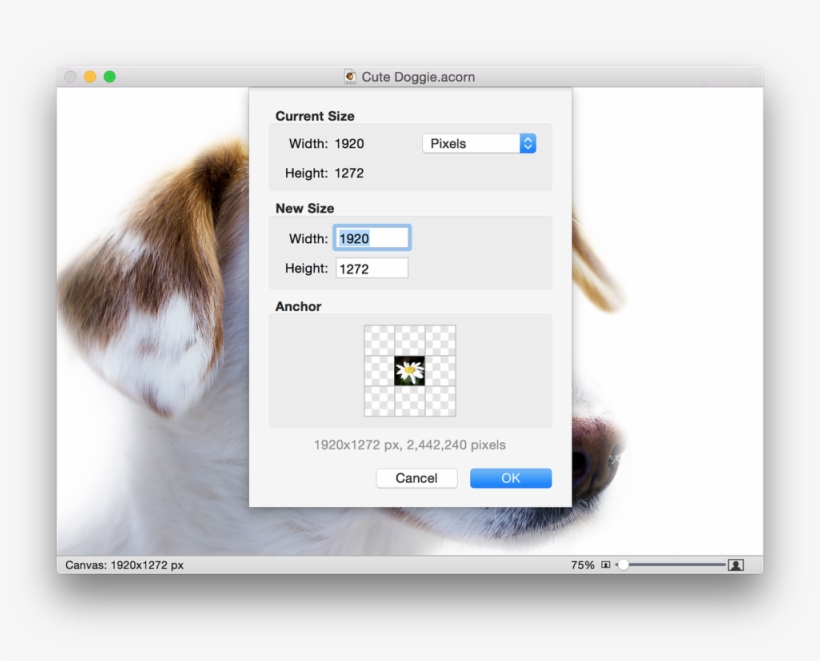 Screen Shot 2015 05 07 At - Dog Grayscale Coloring Book For Adults ...
