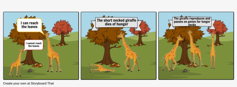 Evolution - Evolution Of Giraffe Neck Storyboard Transparent PNG ...