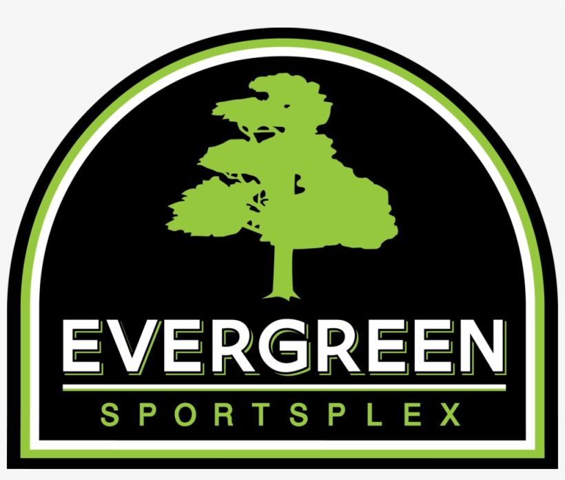 Evergreen Png Transparent PNG - 1000x800 - Free Download on NicePNG