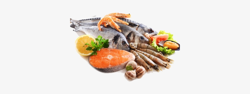 Fish & Seafood - Seafood Transparent PNG - 360x360 - Free Download on ...