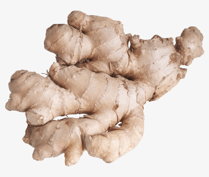 Free Png Ginger Root Png Images Transparent - Ginger Png Transparent ...