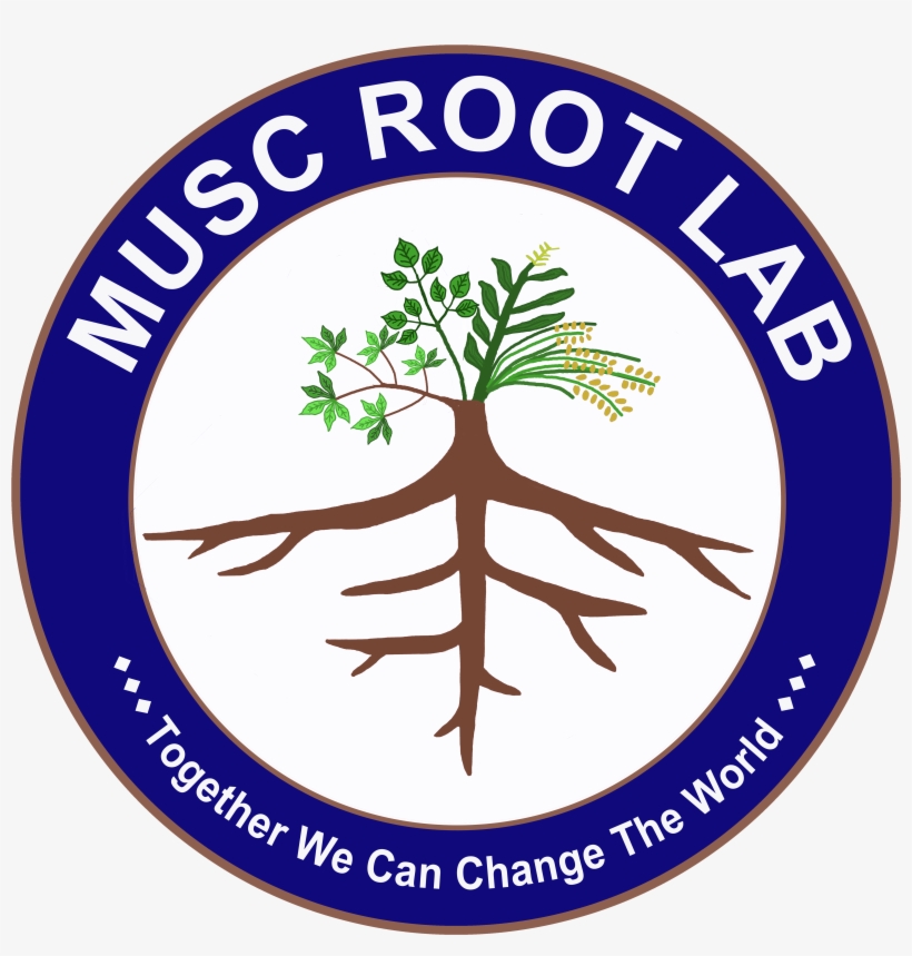 Musc-root Lab - State Paramedical Faculty Logo Lucknow Transparent PNG ...