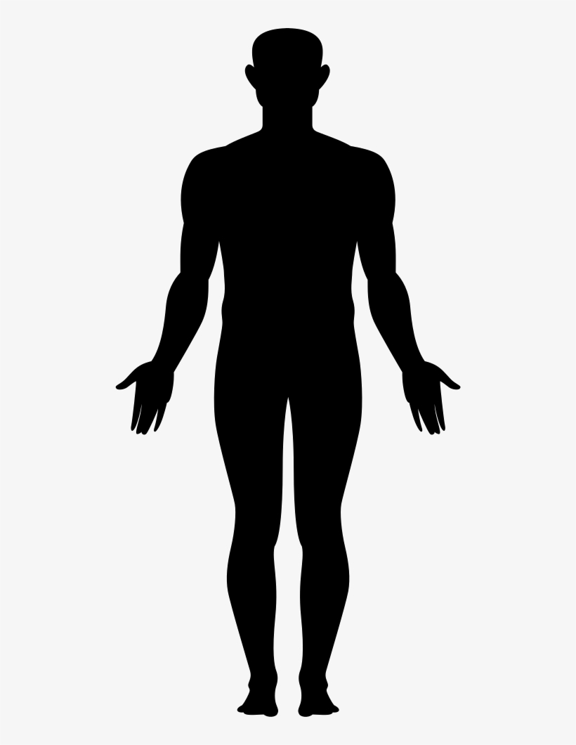 Whole Body - - Full Body Icon Transparent PNG - 492x980 - Free Download ...