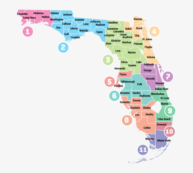 More Information - Florida Map By Region Transparent PNG - 687x690 ...