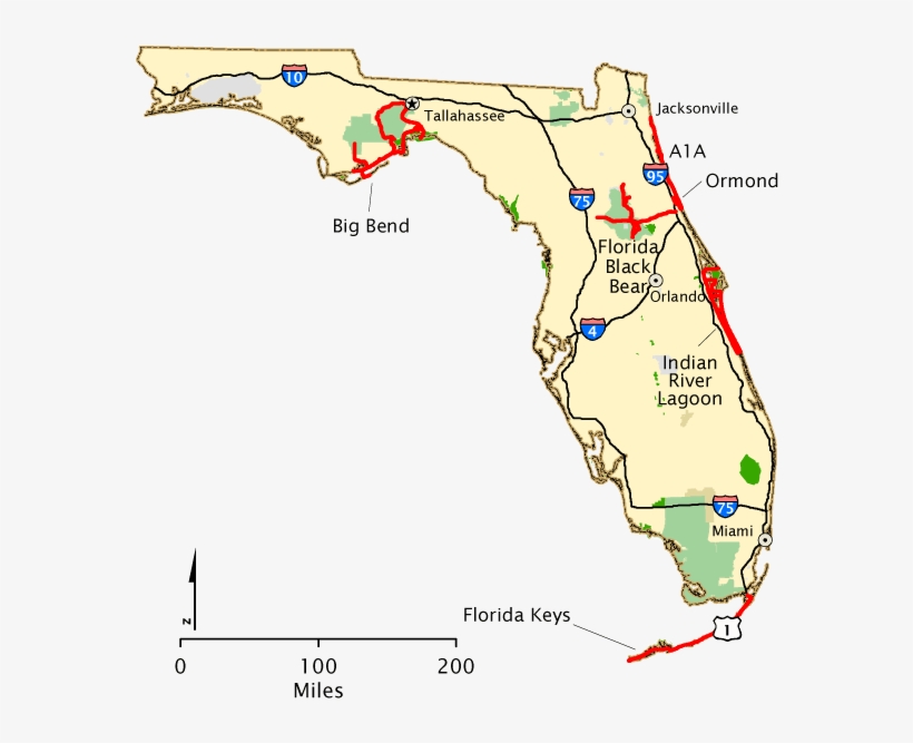 Florida - Atlas Transparent PNG - 600x667 - Free Download on NicePNG
