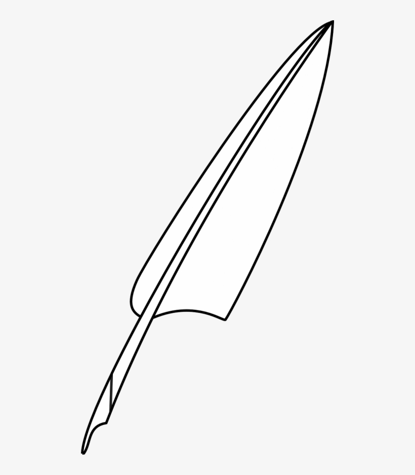 Pena Bulu Vector Transparent PNG - 500x857 - Free Download on NicePNG