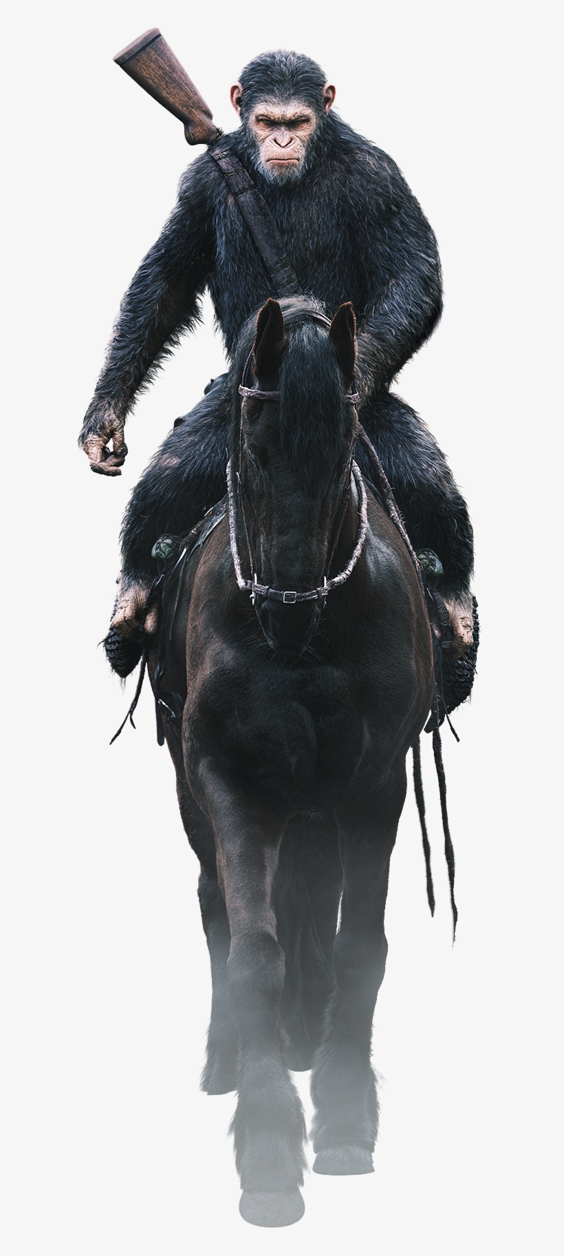 Available On A Variety Of Home Entertainment Formats - Planet Of The ...