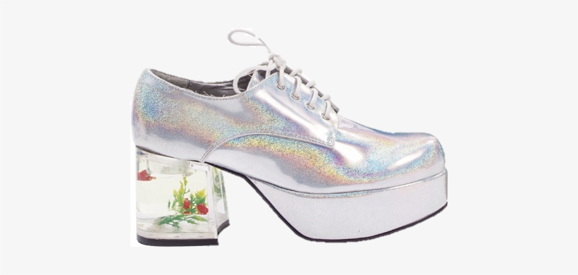 Fish Tank Shoes Transparent PNG - 450x310 - Free Download on NicePNG