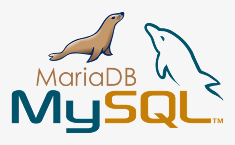 Today - Mysql Mariadb Transparent PNG - 795x480 - Free Download on NicePNG