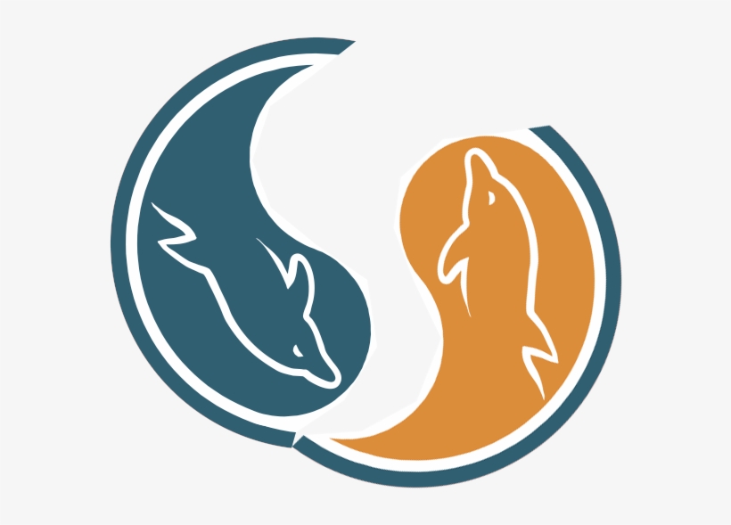 Total Downloads - Mysql Logo Png Square Transparent PNG - 600x510 ...