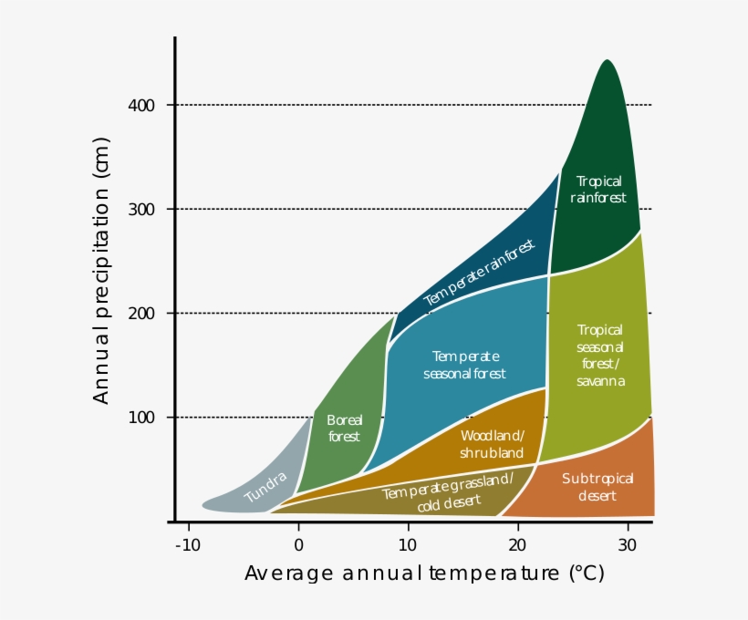 Temperate Grassland Climate Graph