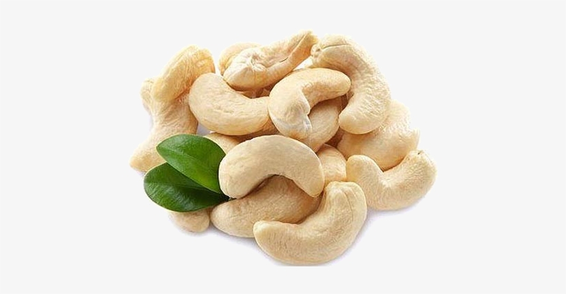 Raw Cashew Nut Extract - Cashew Kernel Transparent PNG - 465x373 - Free ...