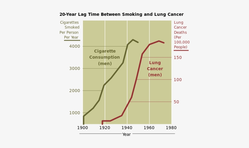 A Lengthy Study Conducted In Order To Establish The - Smoking And Lung ...