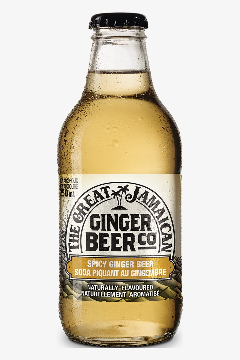 300 Root Beer Cliparts, Stock Vector And Royalty Free - Ginger Beer ...