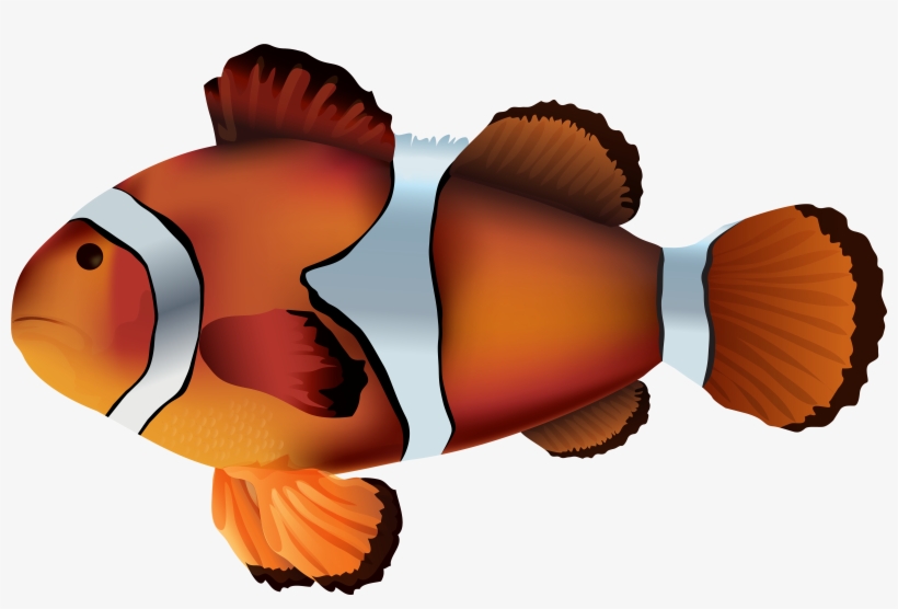Download Clownfish Png Transparent Clip Art Image - Clown Fish No ...