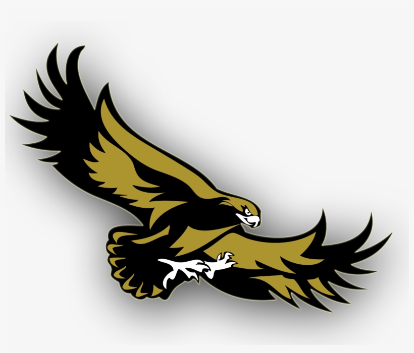 Download Hawk Silhouette Png - Cardinal O Hara Hawks Football - HD ...