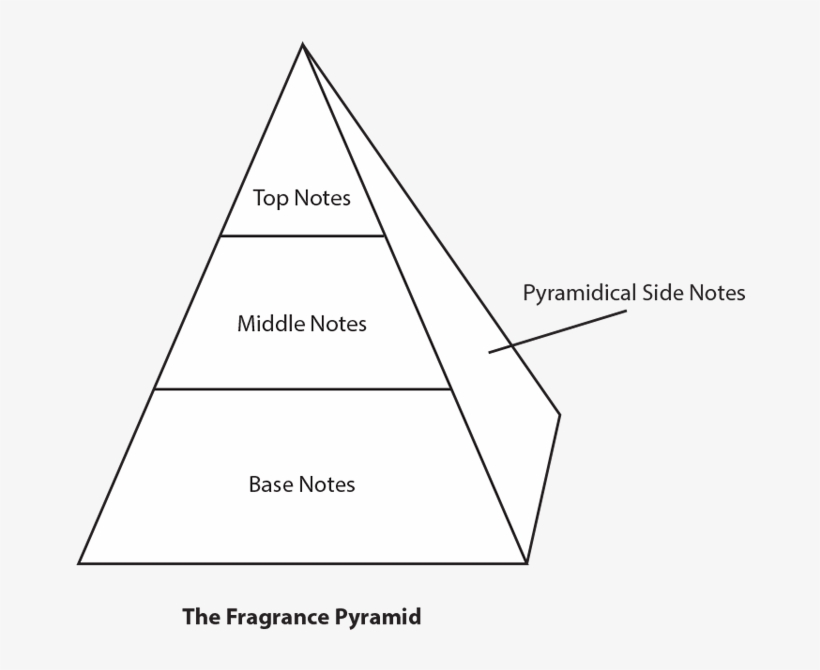 The Fragrance Pyramid - January 7 Transparent PNG - 751x645 - Free ...
