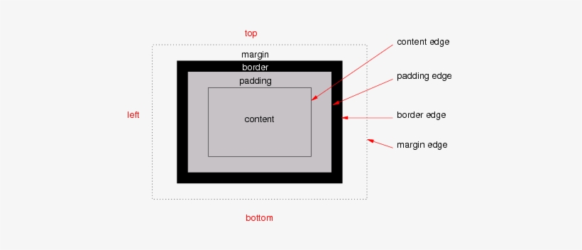 Diagram Of A Typical Box, Showing The Content, Padding, - Css Box Model ...