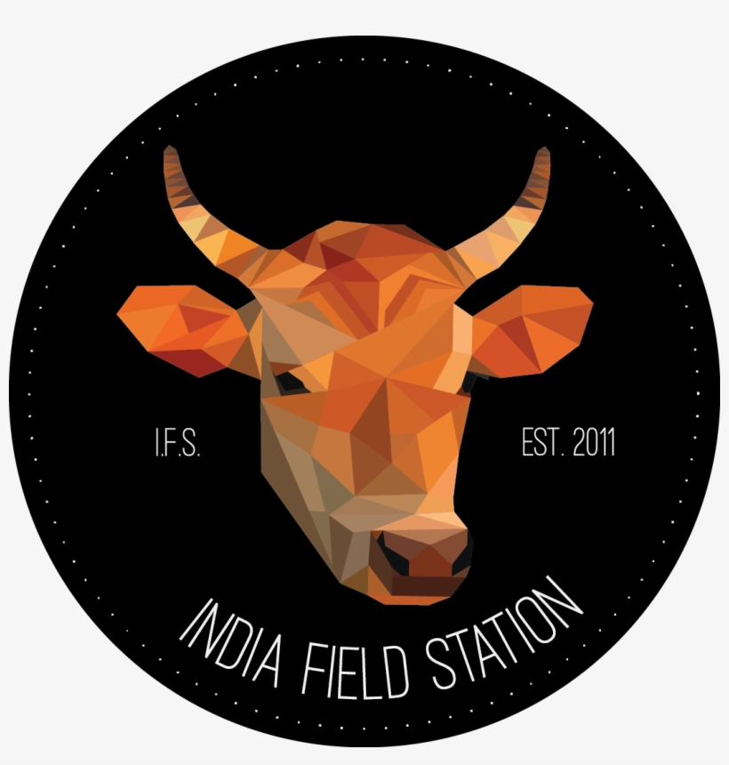 Cattle Transparent PNG - 1081x1081 - Free Download on NicePNG