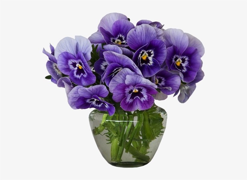 Violets Vase Bouquet Clipart - Violets In A Vase Transparent PNG ...