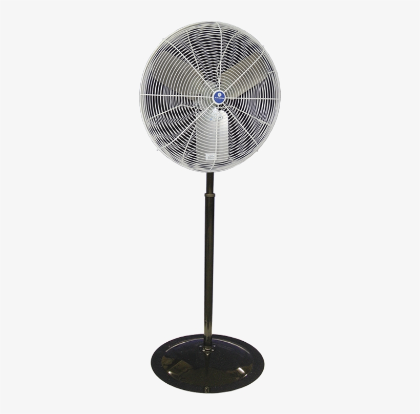 Schaefer Tw30w-prb 30 Inch Osha Pedestal Fan - Schaefer 24" Industrial ...
