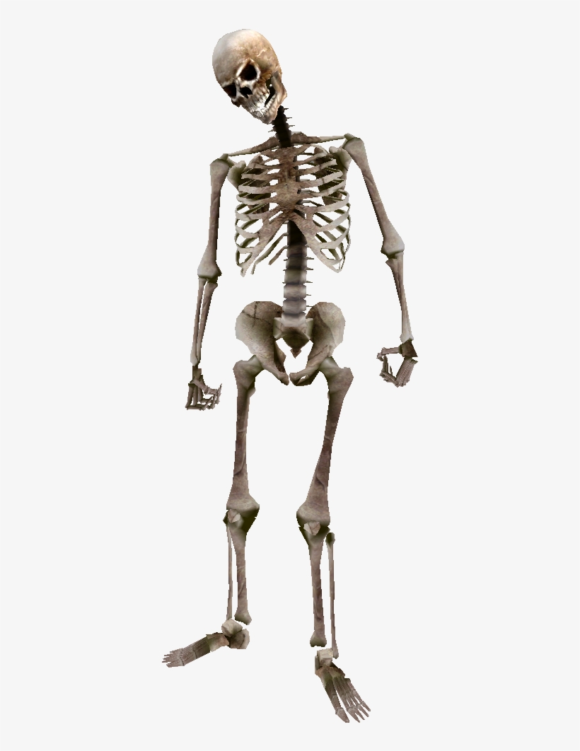 Beast Oblivion Skeleton Png - Skeleton Arm Human Skyrim Transparent PNG ...