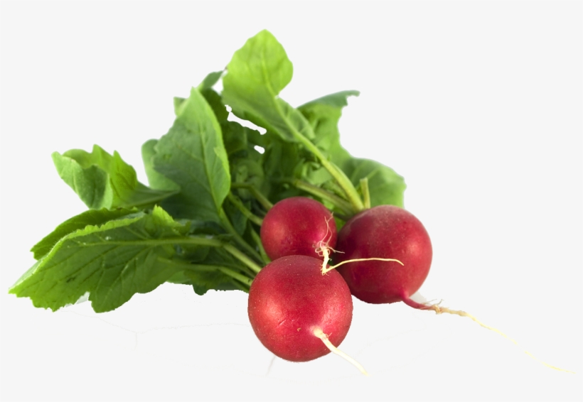Radishes - Rabanito Transparent PNG - 1229x819 - Free Download on NicePNG