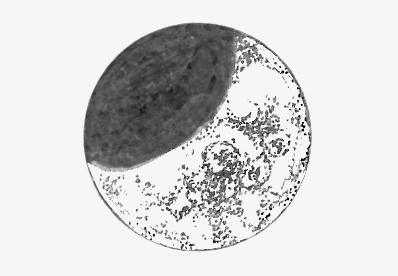 Moon3 - Portable Network Graphics Transparent PNG - 527x541 - Free ...