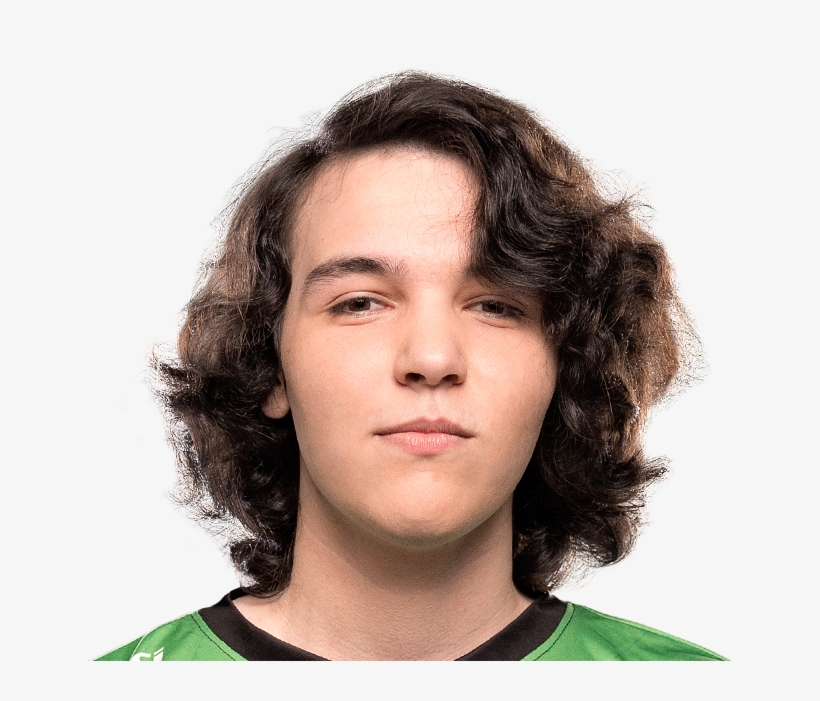 Portable Network Graphics Transparent PNG - 784x621 - Free Download on ...