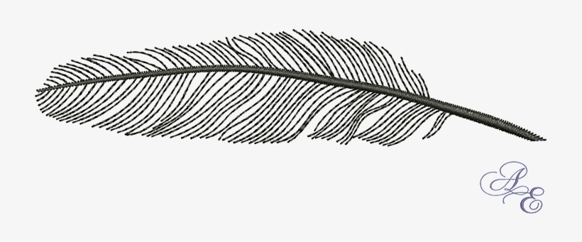 Line Raven Feather Medium - Common Raven Transparent PNG - 722x361 ...