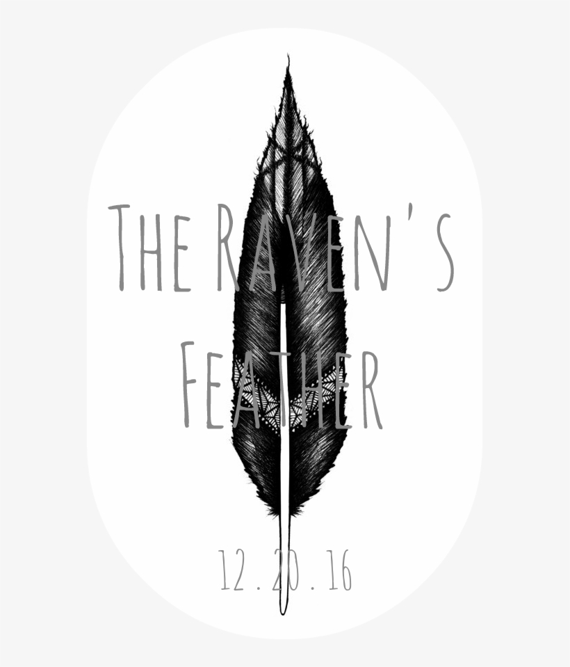 The Raven's Feather - Drawing Transparent PNG - 569x879 - Free Download ...