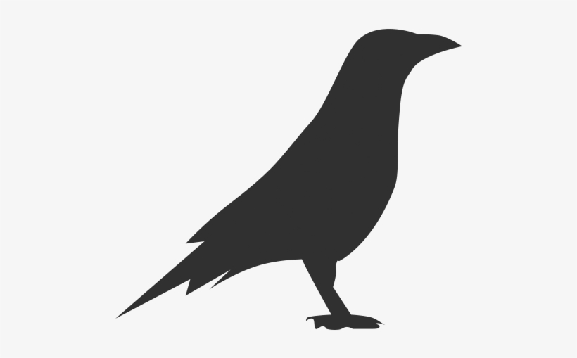 Raven Icon Transparent PNG - 500x500 - Free Download on NicePNG