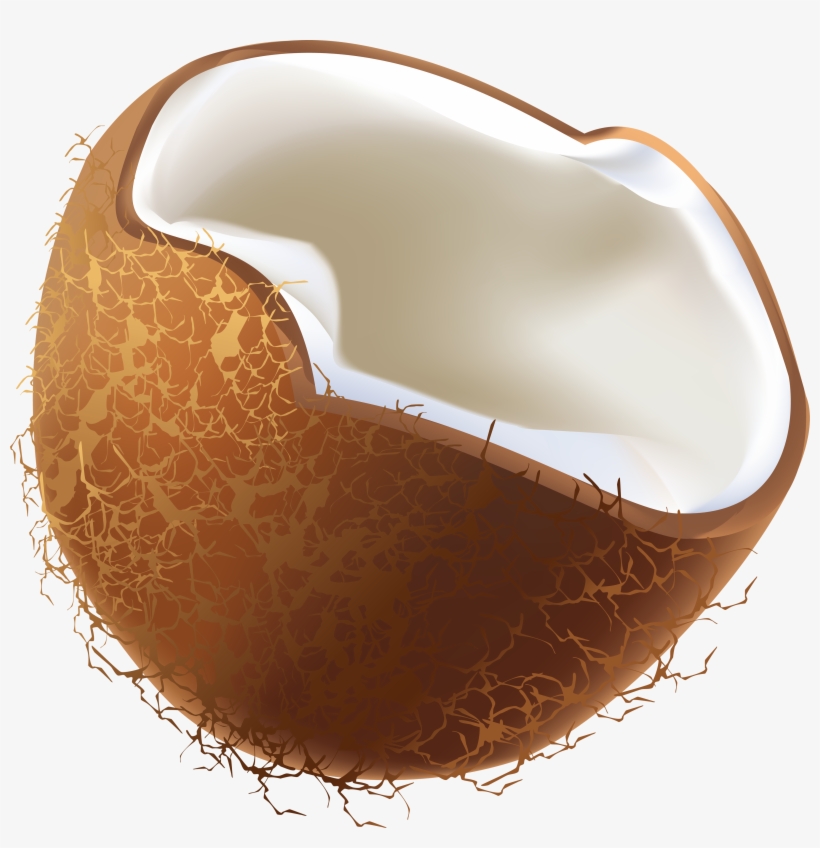 Coconut Vector Png