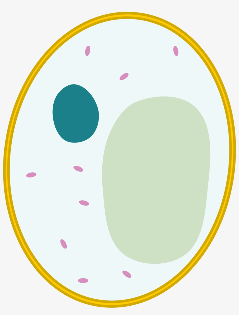 Yeast Cartoon Cell