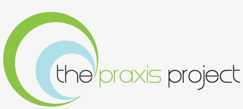 The Praxis Project - Praxis Project Logo Transparent PNG - 2550x935 ...