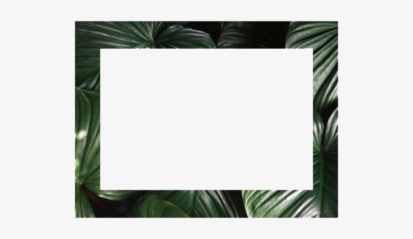 Ceiaxostickers Transparent Overlay Sticker Tumblr Aesth - Picture Frame ...