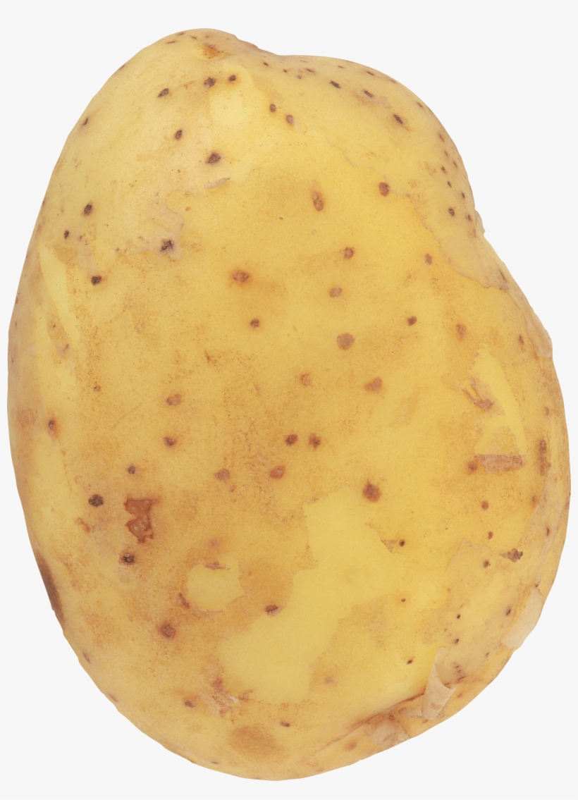 Potato Png Images - Potato Png Transparent PNG - 2546x3400 - Free ...