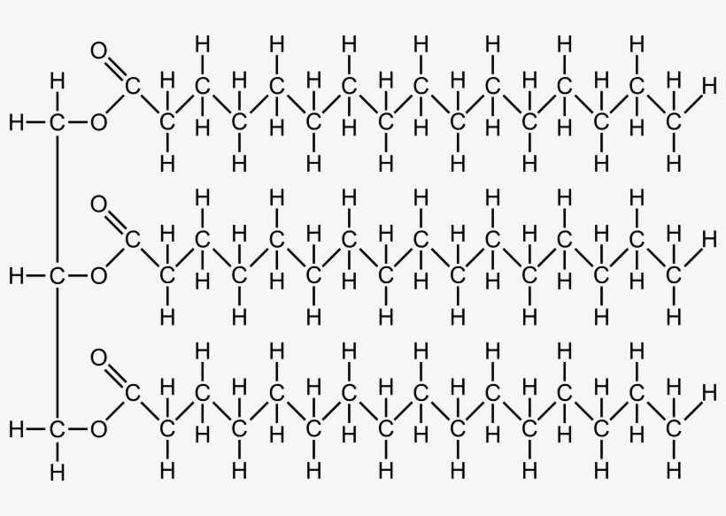 Fat Molecules - Fat Molecule Transparent PNG - 800x503 - Free Download ...