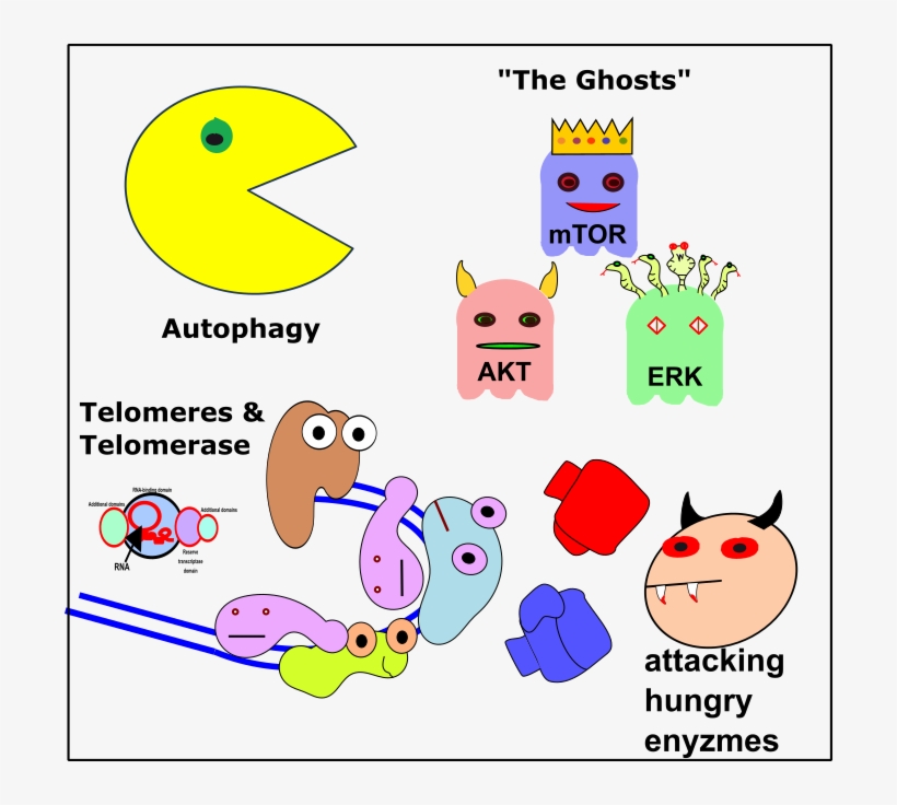 Actors - Cartoon Transparent PNG - 702x656 - Free Download on NicePNG