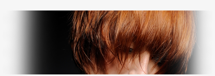 Red Hair Transparent PNG - 950x290 - Free Download on NicePNG