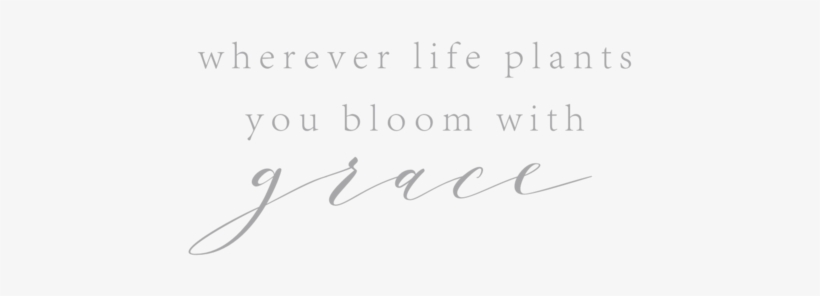 Bloom - Calligraphy Transparent PNG - 1000x482 - Free Download on NicePNG