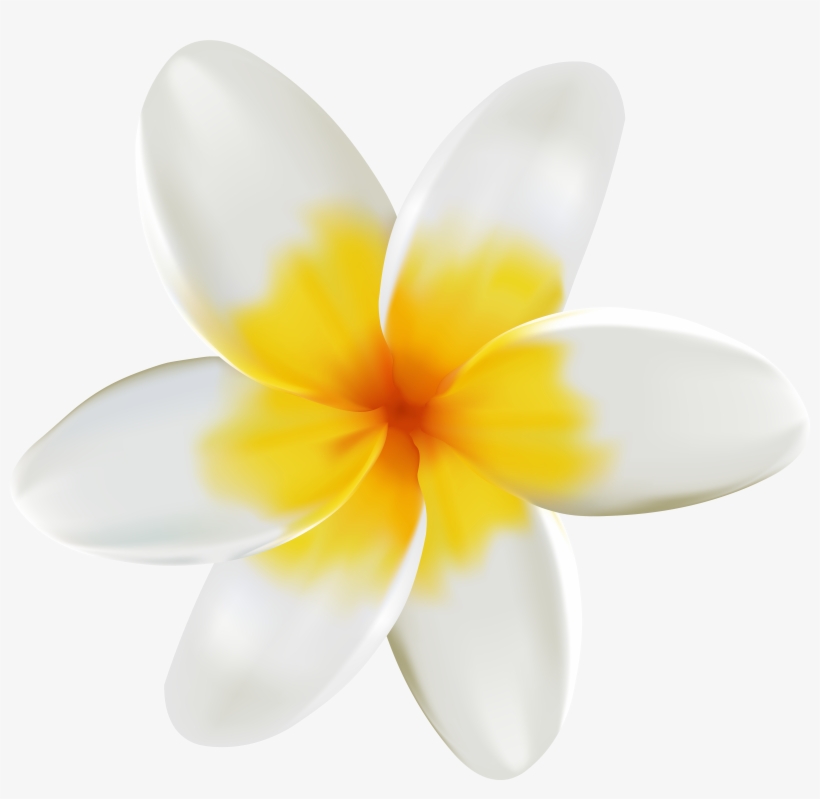Yellow Flower Clipart Tropical - Clip Art Transparent PNG - 6308x5880 ...