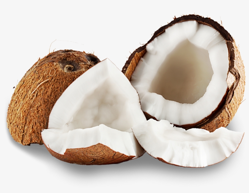 Coconut Copra Transparent PNG - 1000x1000 - Free Download on NicePNG