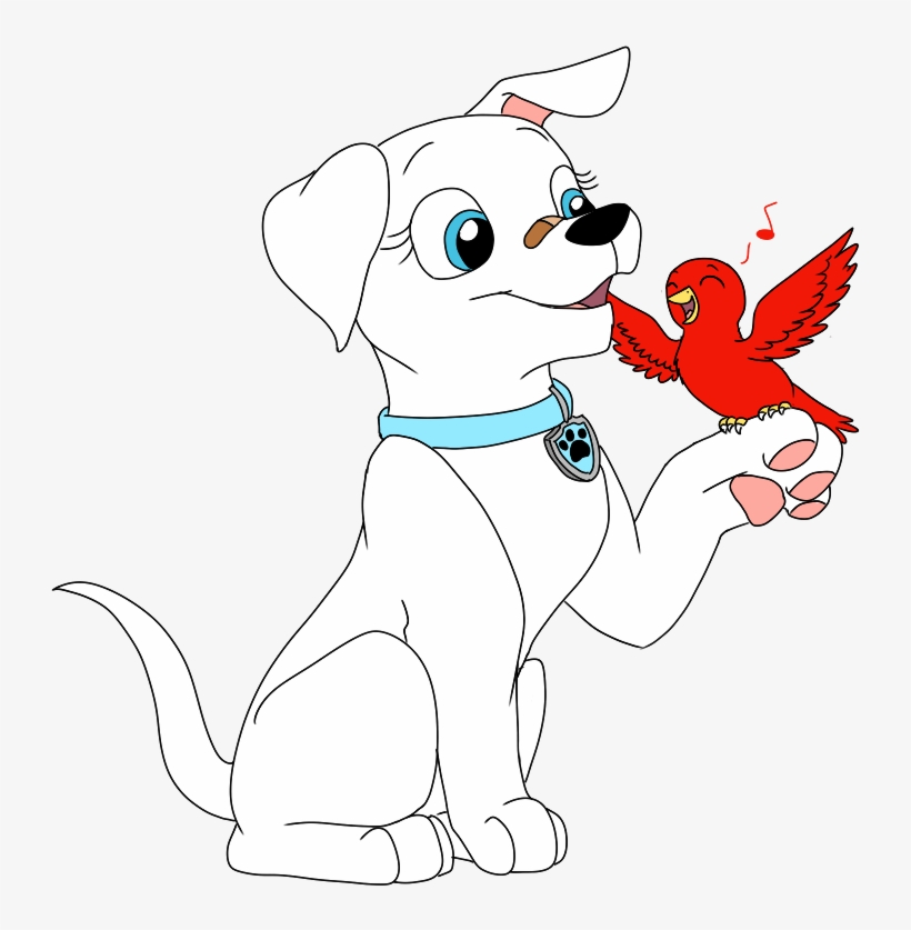 Pretty Bird - Cartoon Transparent PNG - 1000x1000 - Free Download on ...