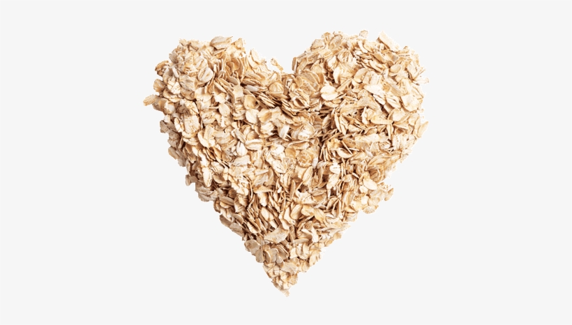Oats - Oats Png Transparent PNG - 465x415 - Free Download on NicePNG