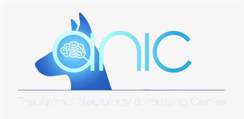 Anic Transparent PNG - 700x322 - Free Download on NicePNG