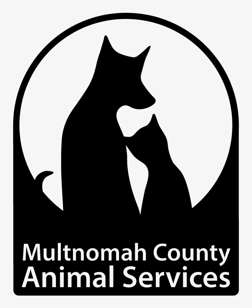 2015 Mcas Logo Final Black Only - Banner Transparent PNG - 764x962 ...