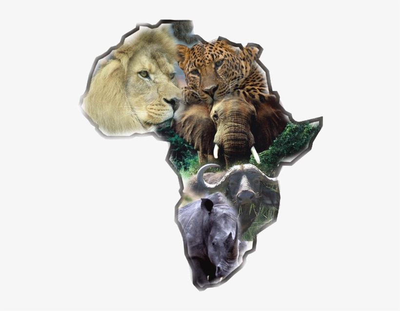The Big 5 Is One Of The Most Amazing Experience On - Big 5 Animals Logo ...