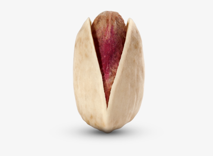 Pistachios Sticker - Pistachio Png Transparent PNG - 454x519 - Free ...